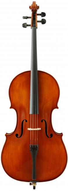 Samuel Eastman 100 Cello, 7/8 size | BVS